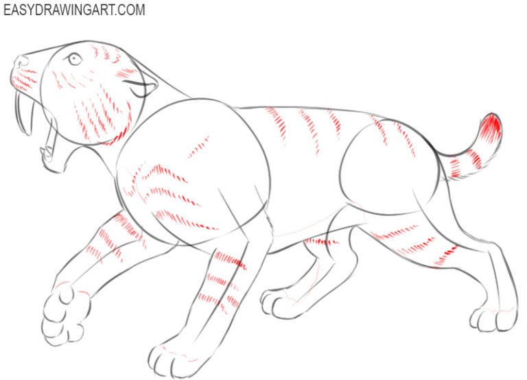 How to Draw a Saber Tooth Tiger - Easy Drawing Art
