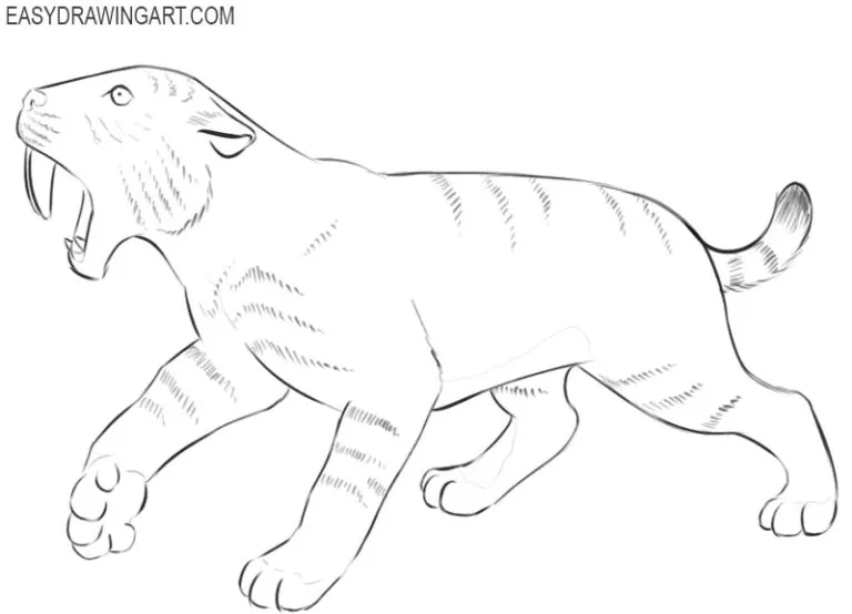 How to Draw a Saber Tooth Tiger - Easy Drawing Art