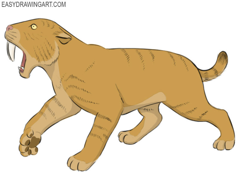 How to Draw a Saber Tooth Tiger - Easy Drawing Art