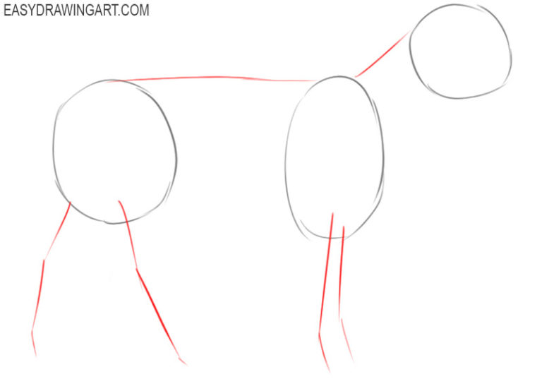 How to Draw a Sheep - Easy Drawing Art