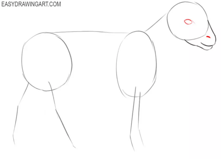 How to Draw a Sheep - Easy Drawing Art