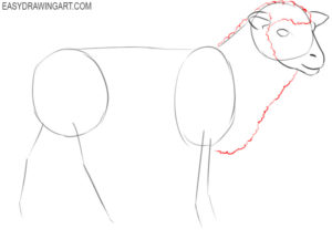 How to Draw a Sheep - Easy Drawing Art