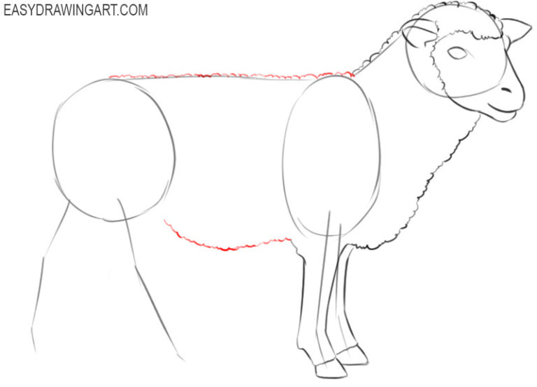 How to Draw a Sheep - Easy Drawing Art