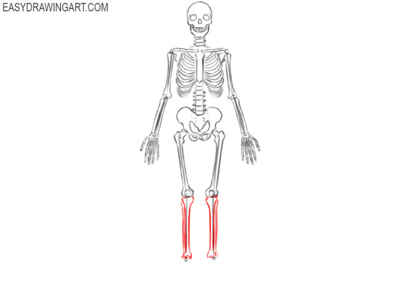How to Draw a Skeleton - Easy Drawing Art