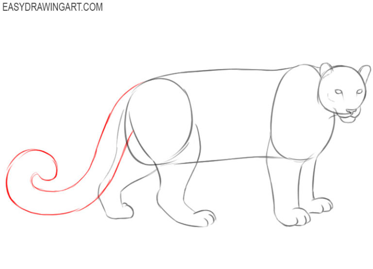 How to Draw a Snow Leopard - Easy Drawing Art