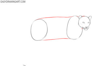 How to Draw a Snow Leopard - Easy Drawing Art