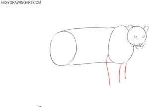 How to Draw a Snow Leopard - Easy Drawing Art