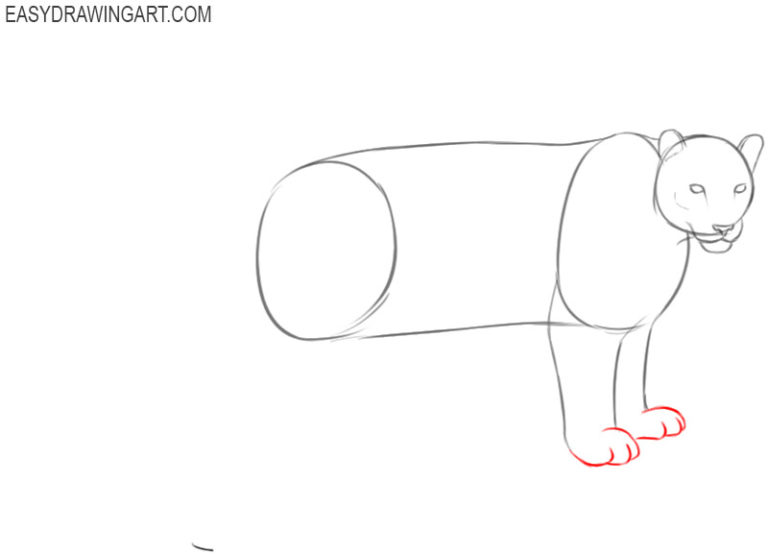 How to Draw a Snow Leopard - Easy Drawing Art