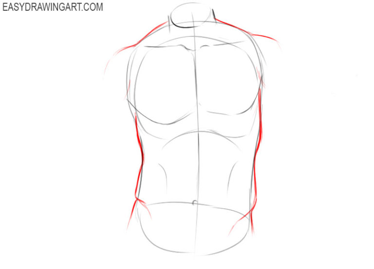 How to Draw a Torso - Easy Drawing Art