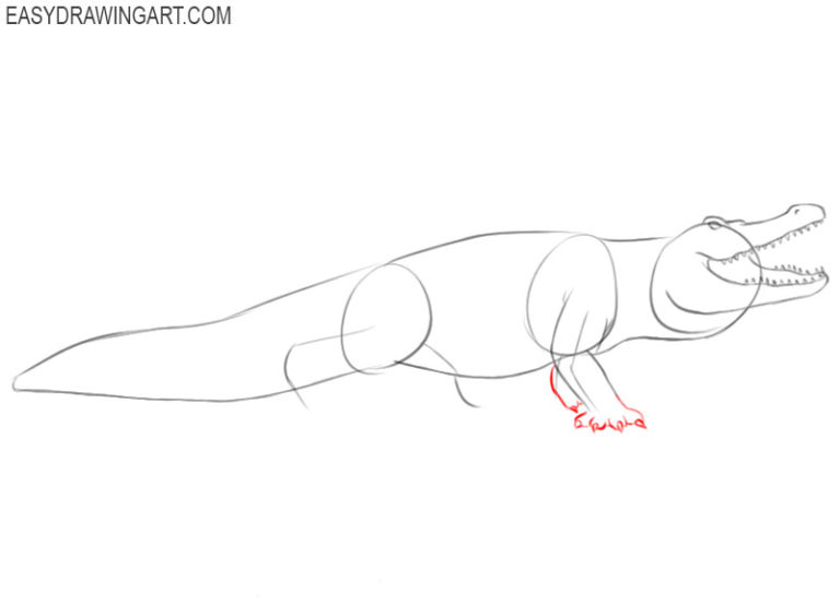 How to Draw an Alligator - Easy Drawing Art