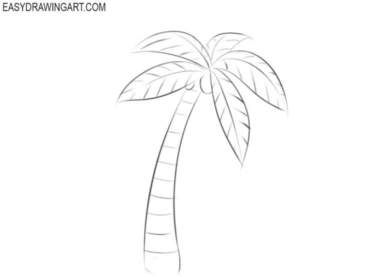 How to Draw a Palm Tree - Easy Drawing Art