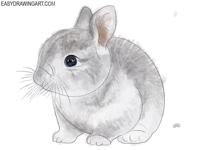 How to Draw a Realistic Bunny - Easy Drawing Art