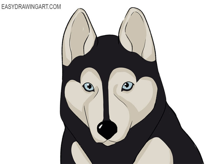 How to Draw a Husky Face - Easy Drawing Art