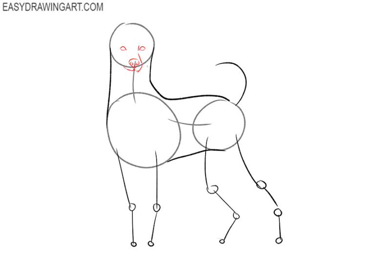 How to Draw a Poodle - Easy Drawing Art