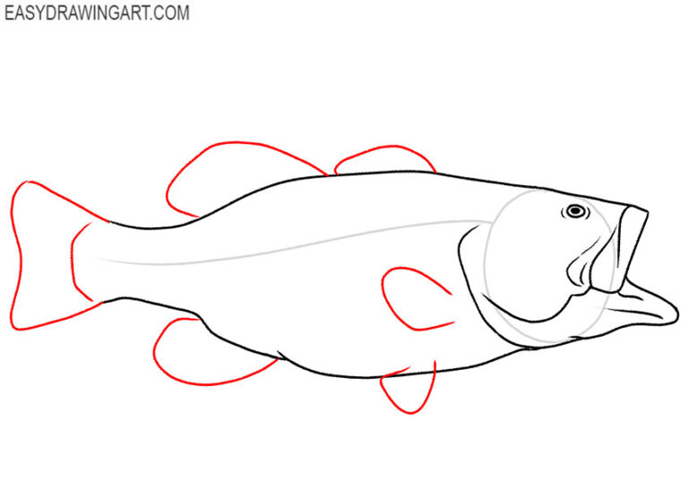 How to Draw a Bass Fish - Easy Drawing Art