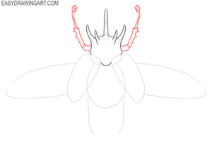 How to Draw a Beetle - Easy Drawing Art