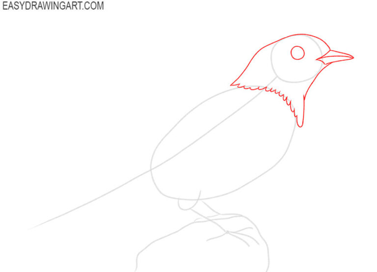 How to Draw a Blue Bird - Easy Drawing Art