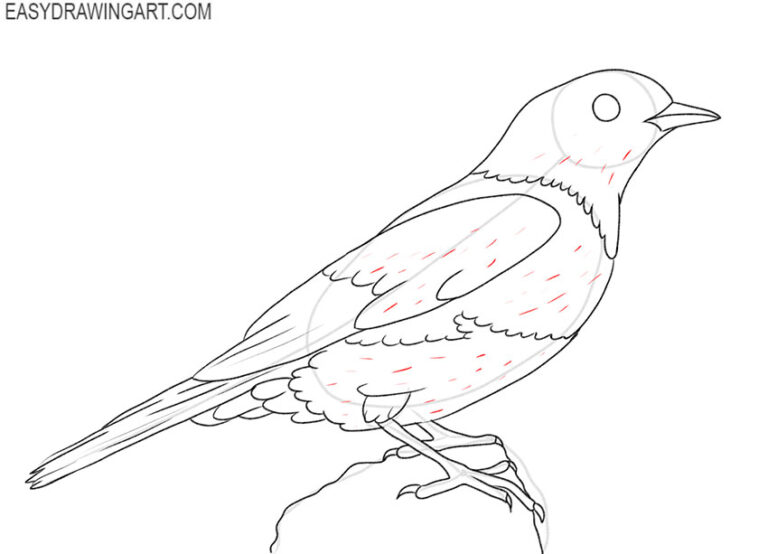 How to Draw a Blue Bird - Easy Drawing Art