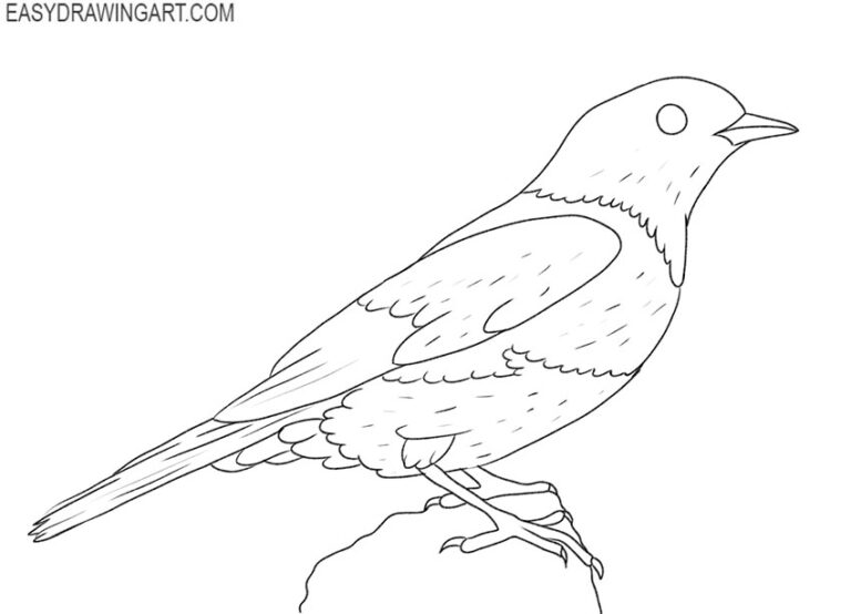 How to Draw a Blue Bird - Easy Drawing Art