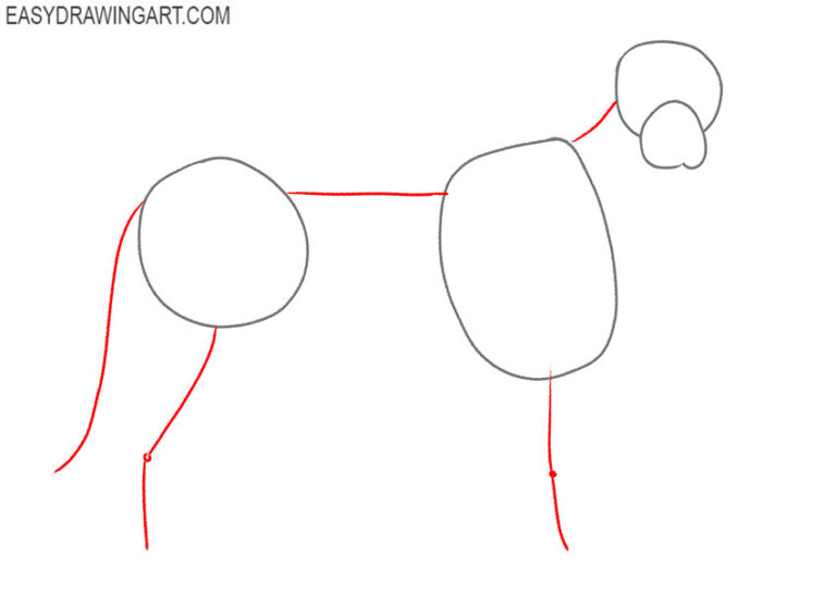 How to Draw a Border Collie - Easy Drawing Art