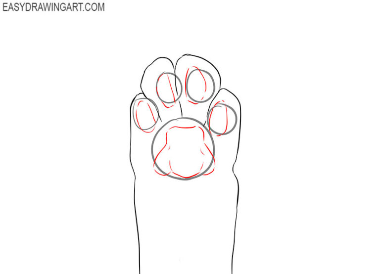 How to Draw a Cat Paw - Easy Drawing Art
