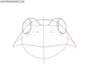 How to Draw a Frog Face - Easy Drawing Art