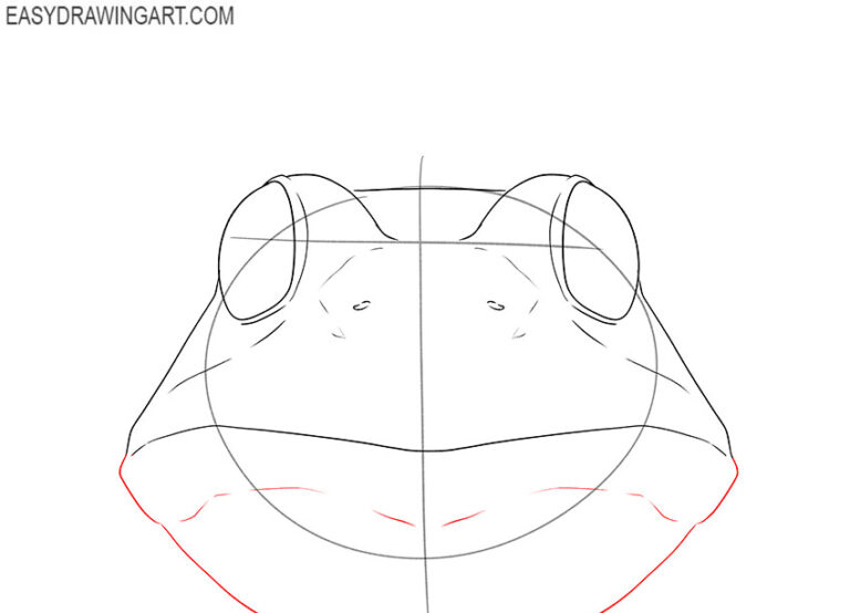 How to Draw a Frog Face - Easy Drawing Art