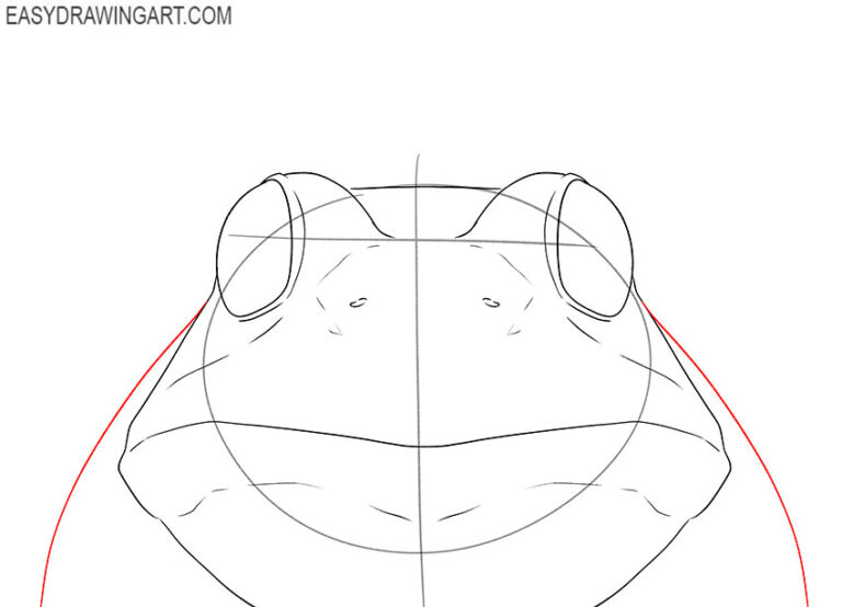 How to Draw a Frog Face - Easy Drawing Art