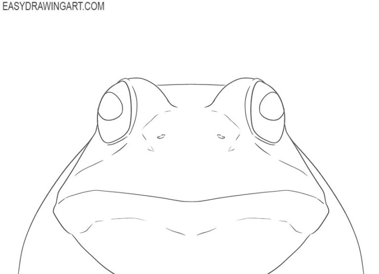 How to Draw a Frog Face - Easy Drawing Art