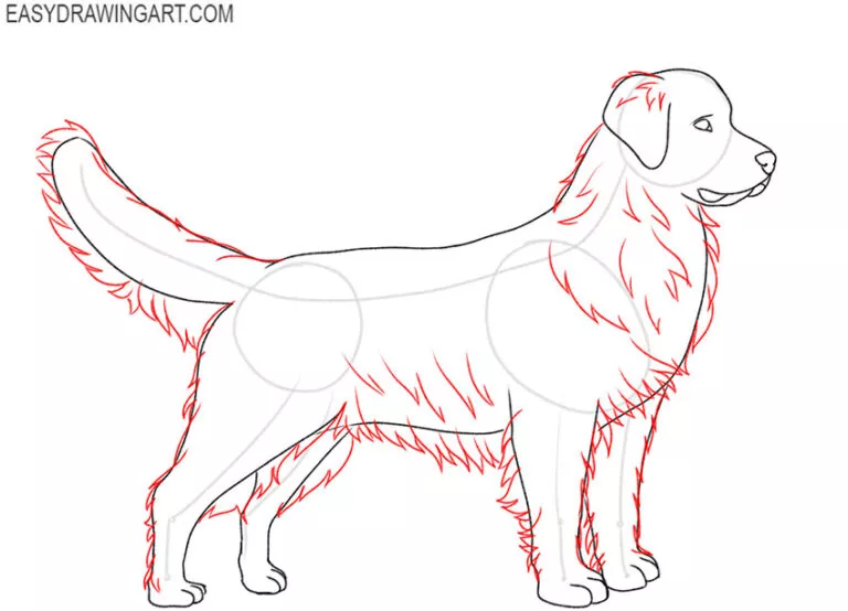 How to Draw a Golden Retriever - Easy Drawing Art