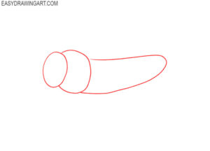 How to Draw a Grasshopper - Easy Drawing Art