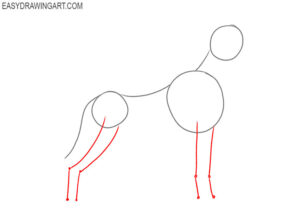 How to Draw a Great Dane - Easy Drawing Art