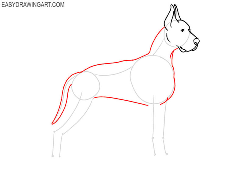 How to Draw a Great Dane - Easy Drawing Art