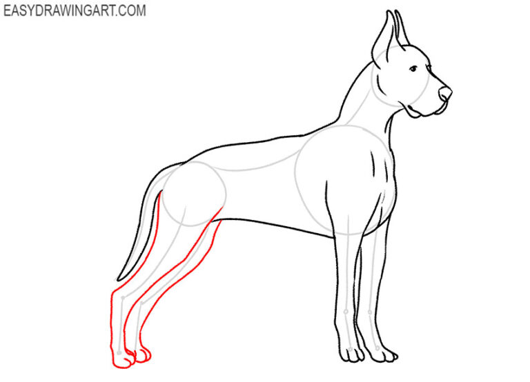 How to Draw a Great Dane - Easy Drawing Art