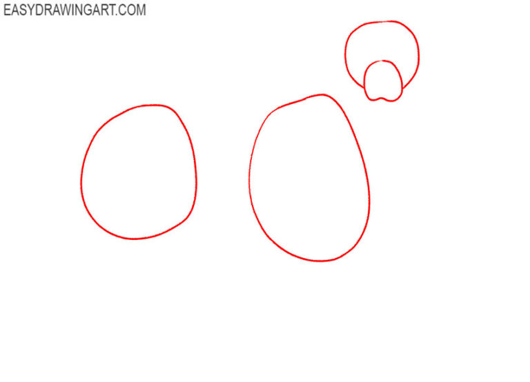 How to Draw an Australian Shepherd - Easy Drawing Art