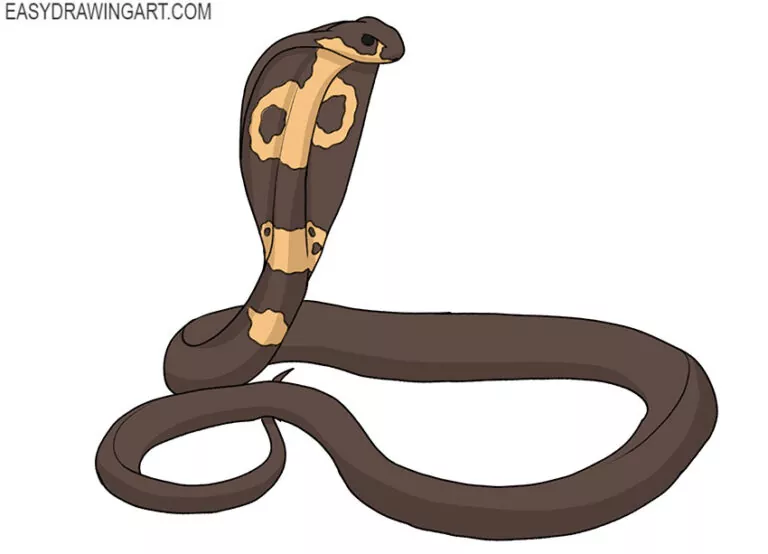 How to Draw a King Cobra - Easy Drawing Art