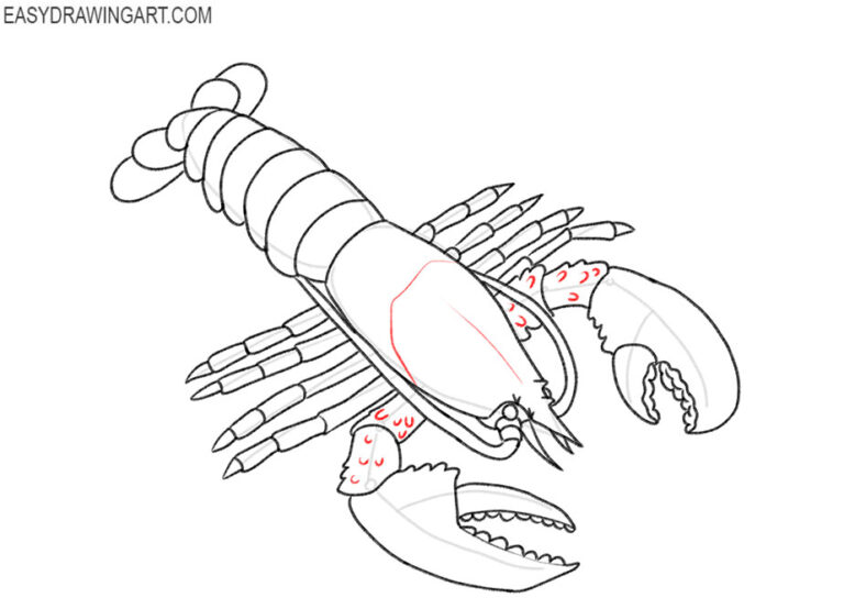 How to Draw a Lobster - Easy Drawing Art