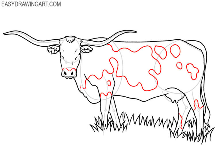 How to Draw a Longhorn - Easy Drawing Art