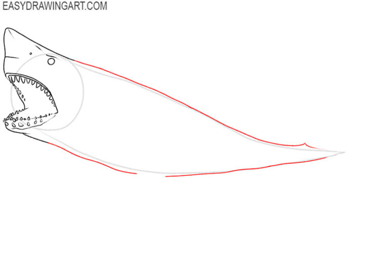 How to Draw a Megalodon - Easy Drawing Art
