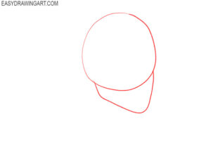 How to Draw a Mullet - Easy Drawing Art