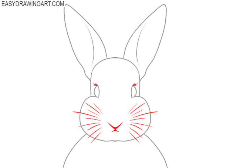 How to Draw a Rabbit Face - Easy Drawing Art