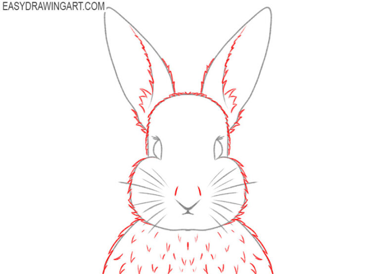 How to Draw a Rabbit Face - Easy Drawing Art