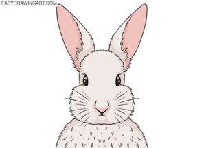 How to Draw a Rabbit Face - Easy Drawing Art