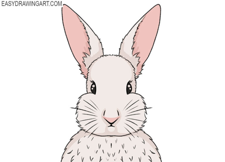 How to Draw a Rabbit Face - Easy Drawing Art