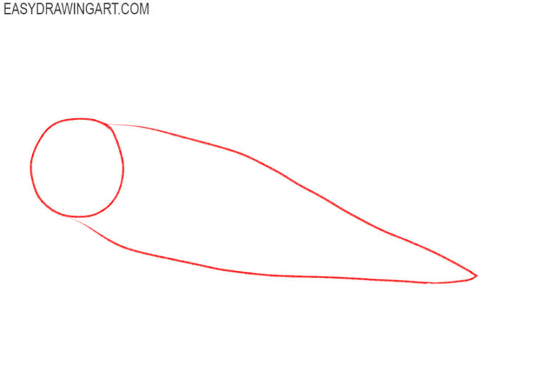 How to Draw an Orca - Easy Drawing Art