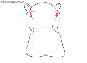How to Draw a Hippo Face - Easy Drawing Art