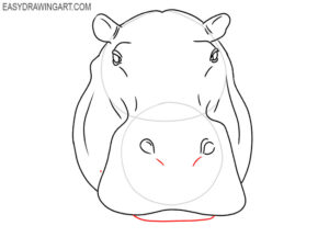 How to Draw a Hippo Face - Easy Drawing Art