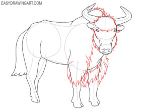 How to Draw a Yak - Easy Drawing Art