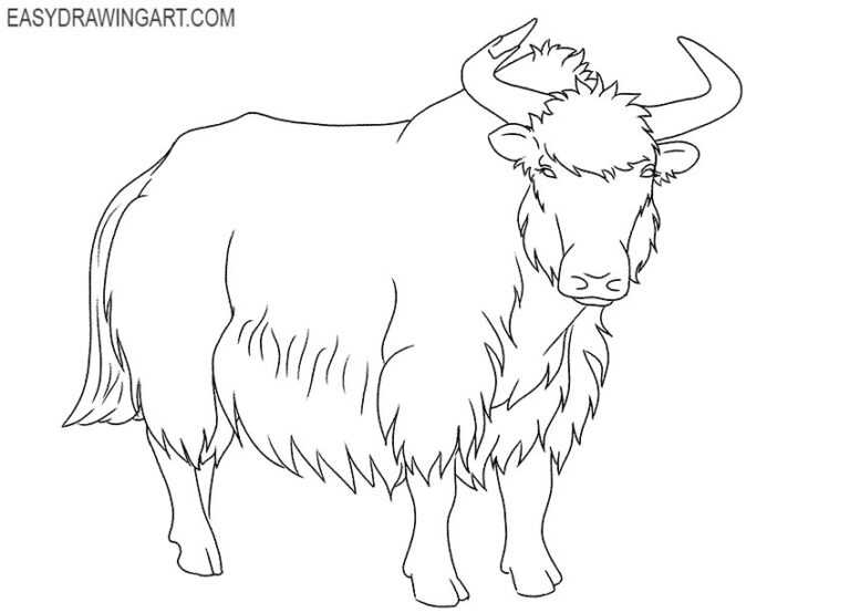 How to Draw a Yak - Easy Drawing Art