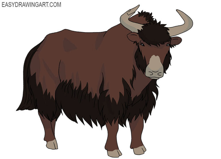 How to Draw a Yak - Easy Drawing Art
